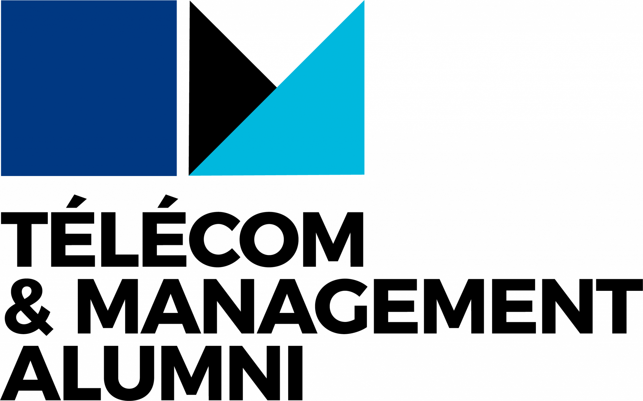 Telecom SudParis, leading public engineering school